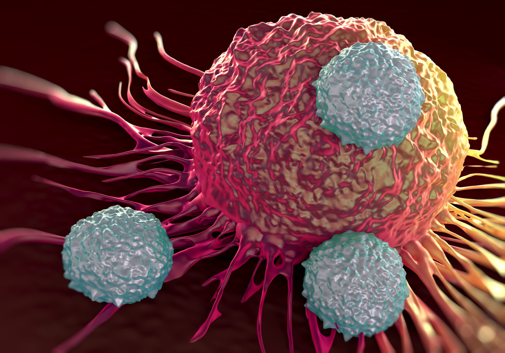 The Most Easily Cured Cancers: Recovery Statistics, Prevention ...